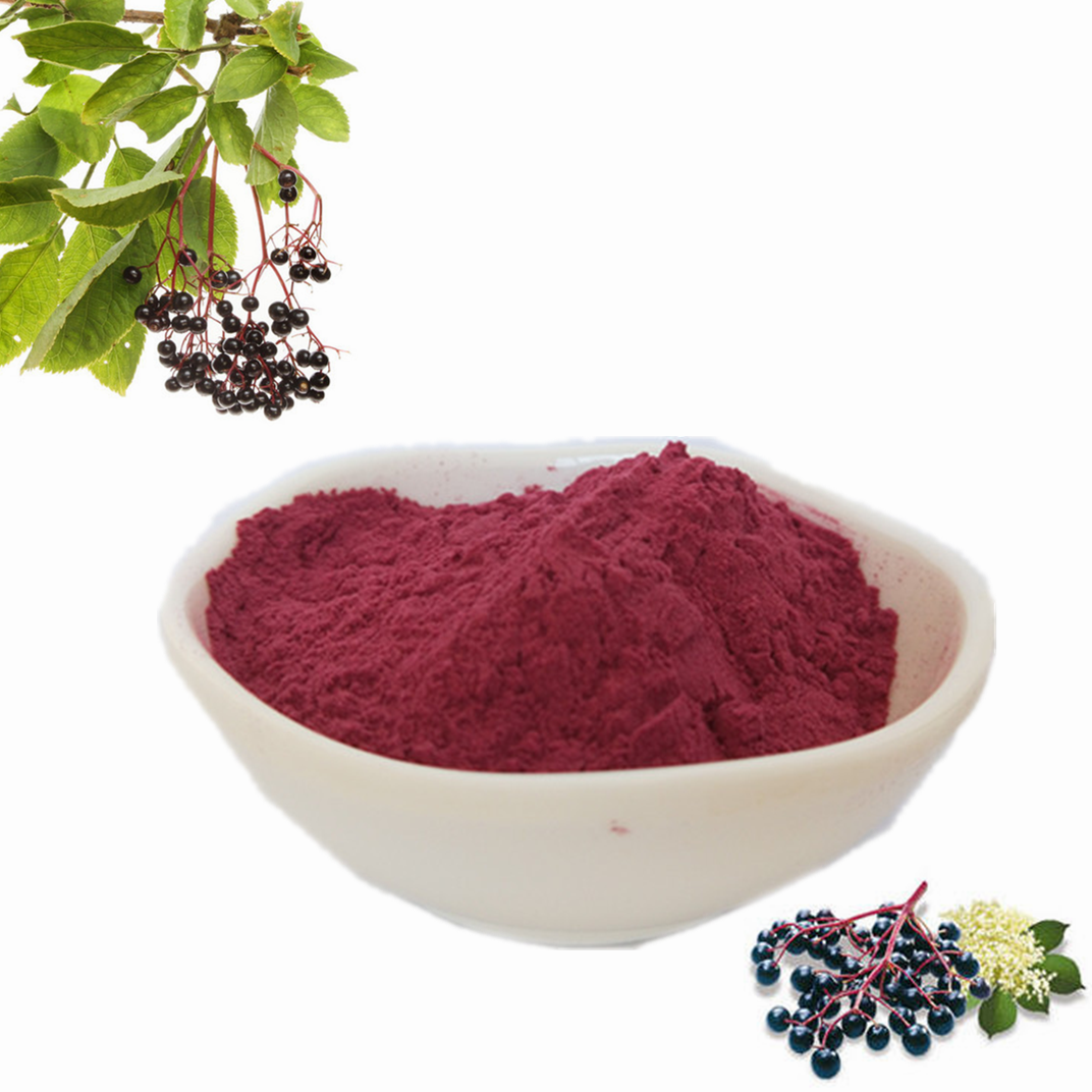 Buy Cyanidin Powder Sambucus Nigra Extract Anthocyanin Black Elderberry ...
