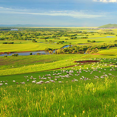 Buy Easy Operation Gps Rtk Glonass 5.5-inch Screen Remote Control ...