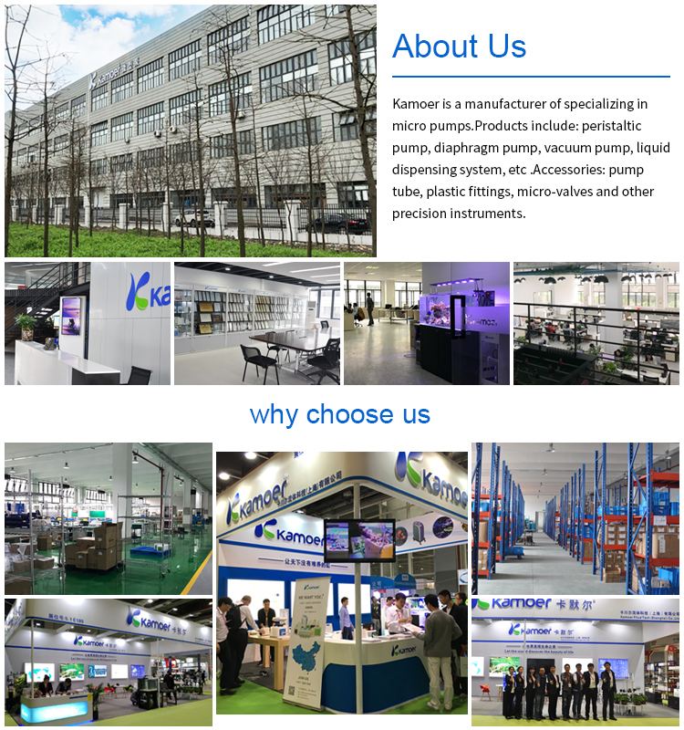 Buy Kamoer Kmd-42s Two-phase Dc Stepper Motor Driver Board For Micro ...