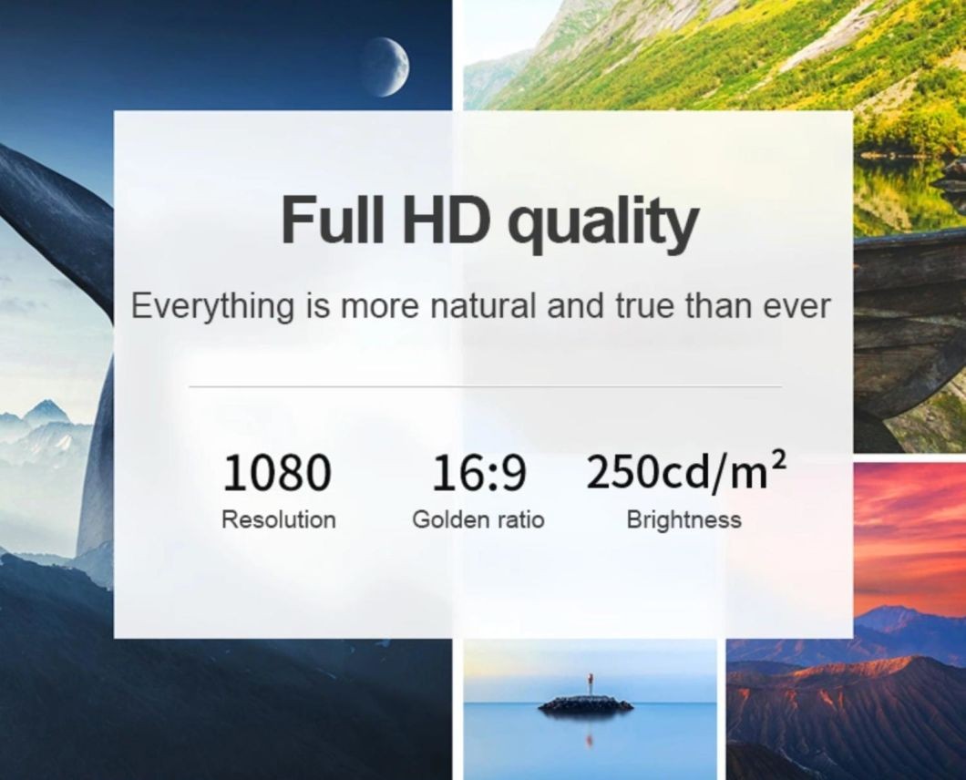 Buy Pcv Wholesale C240 24-inch Pc Monitor Black Flat Tft Screen Fhd Lcd ...