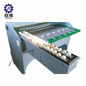 Egg Size Sorting Machine Grader With Printer/egg Classification Machine ...