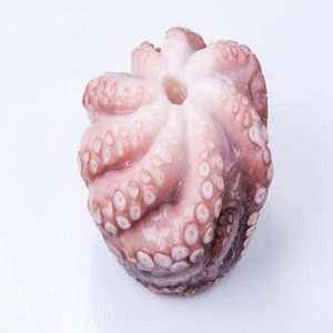 Frozen Whole Cleaned Baby Octopus | Frozen Whole Cleaned Baby Octopus ...