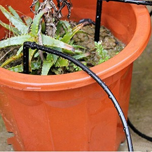 Trilite Hydroponicindoor Irrigation System For Bonsai Spider ...