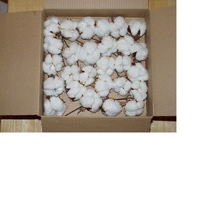 Fresh Cotton | Fresh Cotton Suppliers & Manufacturers | TradeWheel