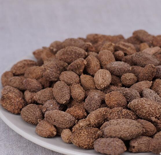 Sha Ren Wholesale Raw Natural Dried Fructus Amomi For Spice | Sha Ren ...